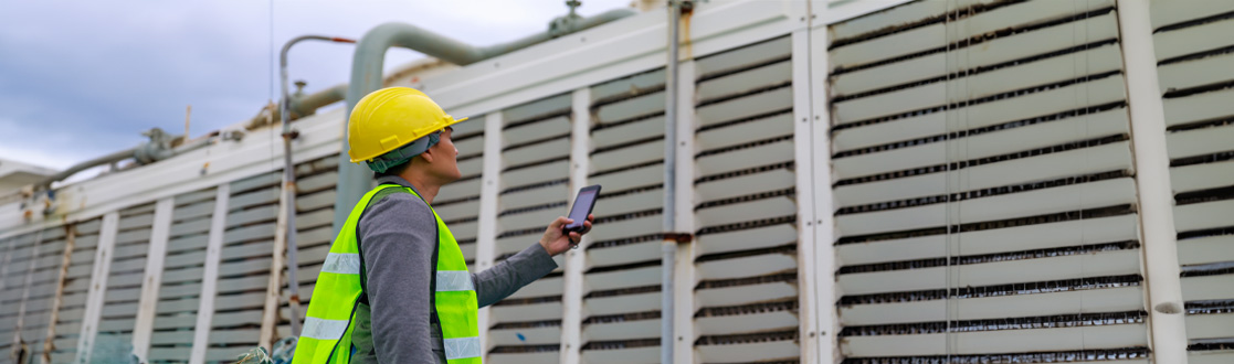 Insights - IPD Australia