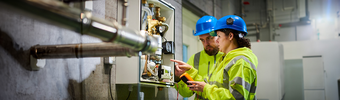 Insights - IPD Australia