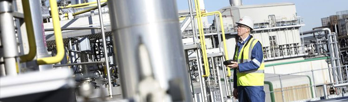 Insights - IPD Australia